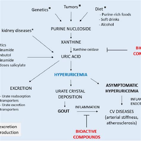 Conditions Leading To Hyperuricemia And Gout In Humans Download