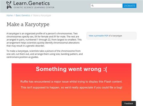 University Of Utah Genetics Learning Center Learngenetics Make A Karyotype Interactive For