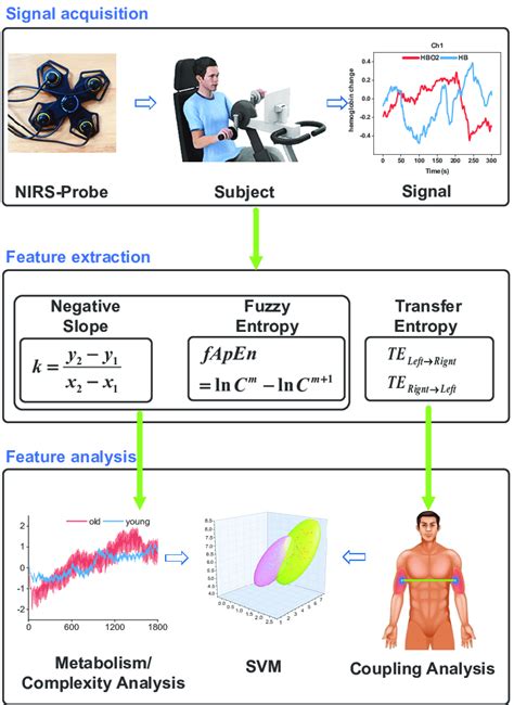 Nirs Data Processing And Analysis Flowchart Download Scientific Diagram