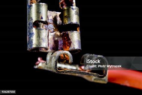 높은 확대에 전기 커넥터입니다 컴퓨터와 전기 클램프 매크로 기술에 표시 플러그 밝은 배경 개념에 대한 스톡 사진 및 기타 이미지 Istock