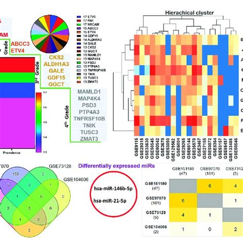 Large Scale Transcriptomic Data Analysis Identified Graded Levels Of Download Scientific
