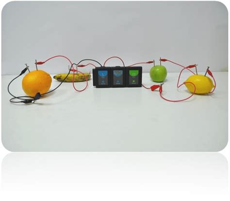 Voltage 251 Main Section NeuLog Sensors