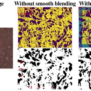 Comparisons Between Segmentation With And Without Smooth Blending Download Scientific Diagram