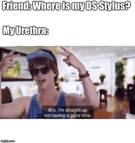 Thanks I Hate Ds Stylus R Tihi