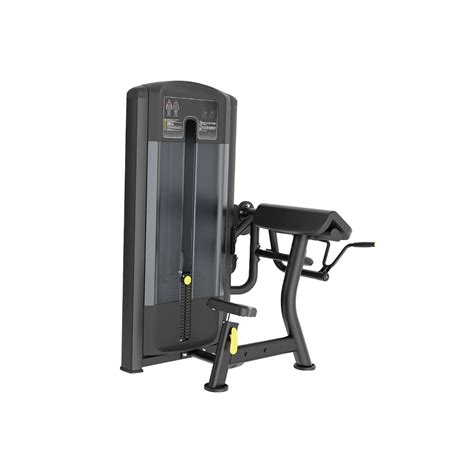 Bicep Curl Apex Mr Fitness