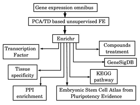 A Schematic Diagram That Summarizes The Obtained Results Download