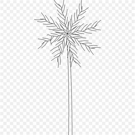 Twig Autocad Dwg Drawing Computer Aided Design Png 1000x1000px Twig Arecaceae Autocad
