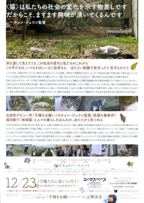 猫たちのアパートメント 映画チラシのデビッドさん