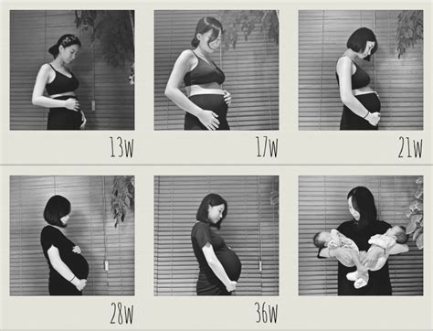 쌍둥이임신 주수사진 배나오는 시기 체중증가에 대하여 네이버 블로그