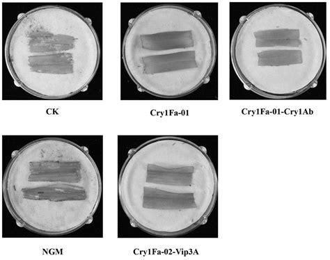 Method For Controlling Pests Eureka Patsnap