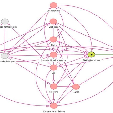 Directed Acyclic Graph Dag Showing Causal Relationships Hypothesized
