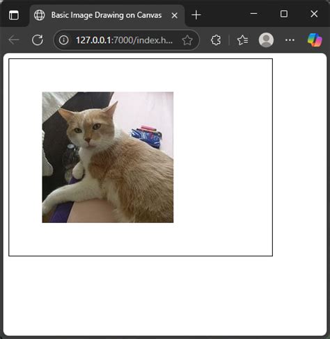 Javascript Canvas Drawing Images