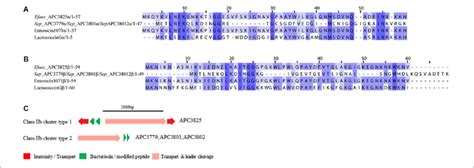 multiple sequence alignments msa of class iib bacteriocin