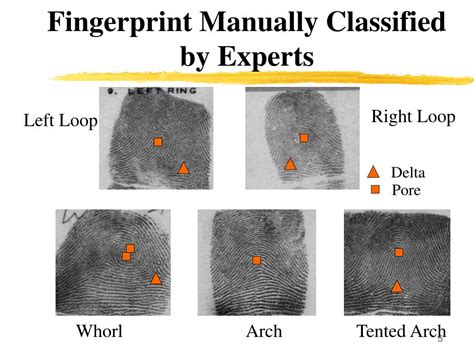 Ppt Fingerprint Classification By Som Powerpoint Presentation Free