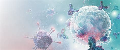 Cns Models Immune Models Cancer Models Customizable Cell Assays Creative Bioarray Cellassay