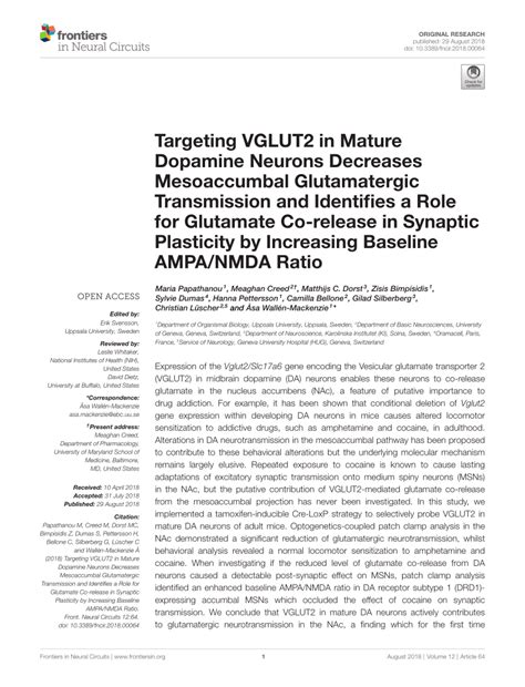 Pdf Targeting Vglut2 In Mature Dopamine Neurons Decreases