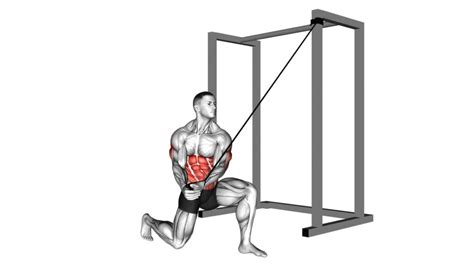 Resistance Band Kneeling High Low Anti Rotation Chop Video Guide And Tips