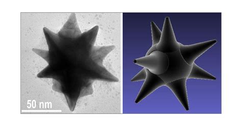 Excess Surface Energy At The Tips Of Gold Nanospikes From Experiment To Modeling The Journal