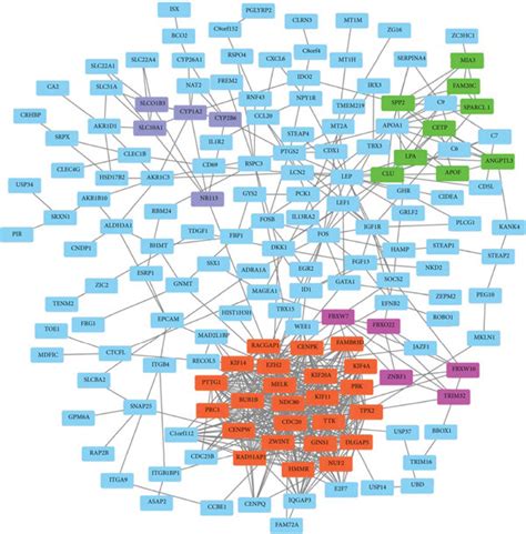 Ppi Network And Module Analysis A Ppi Network Of The Most