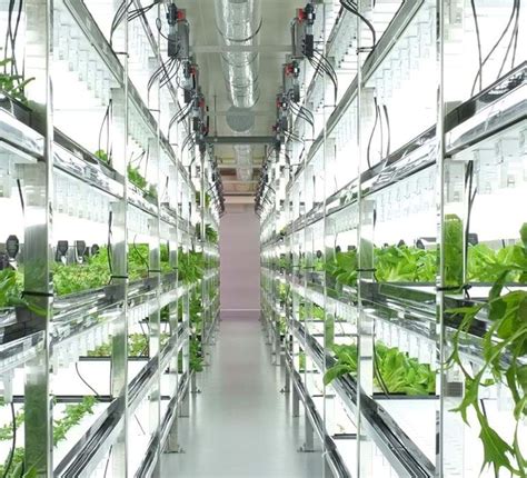 Vertical Farming Sustainability Vertical Farm