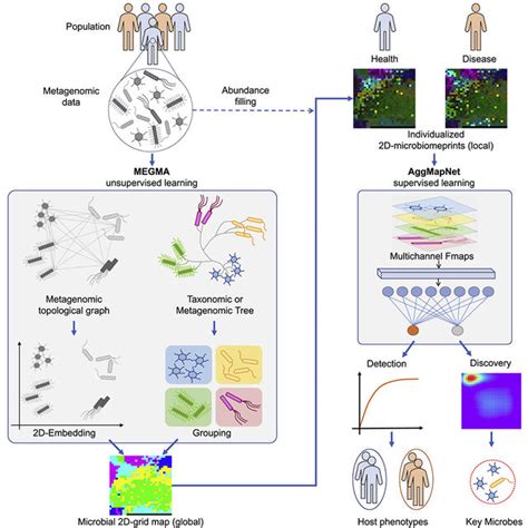 An Interpretable Dl Based Metagenomic Learning Pipeline Download