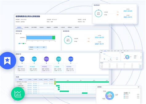 信息化项目管理平台 致远互联