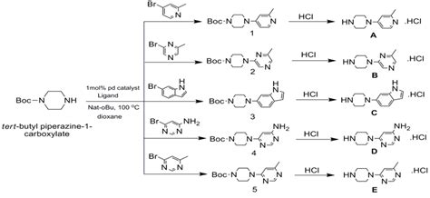 Scheme Ofpd Catalysed Preparation Of N Heteroarylpiperazine Compounds