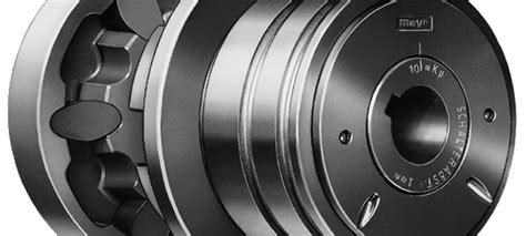 The Company Tradition And Innovation For Over 100 Years Mayr