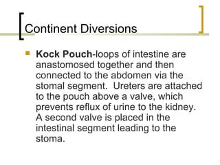 Stoma Care Basics N Ppt