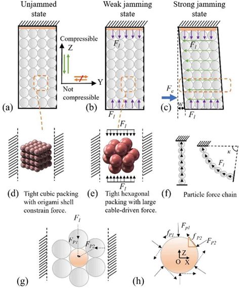Variable Stiffness Modeling Of The Soft Wrist A Unjammed State Of Download Scientific
