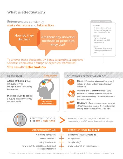Effectuation Principles Insights From Expert Entrepreneurs