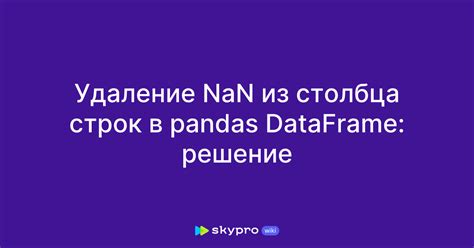 Удаление Nan из столбца строк в Pandas Dataframe решение