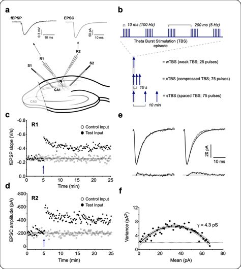 Ltp And Non Stationary Fluctuation Analysis Nsfa Methodology A Download Scientific Diagram