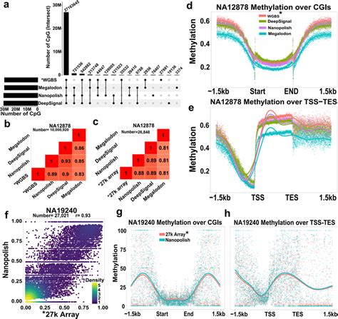 Methylation Calling From Nanopore Data And Comparison To Gold Standard