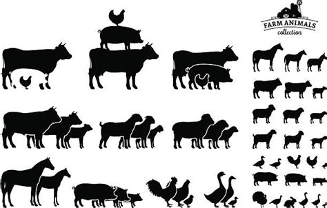 40 300 Goat Stock Illustrations Royalty Free Vector Graphics And Clip