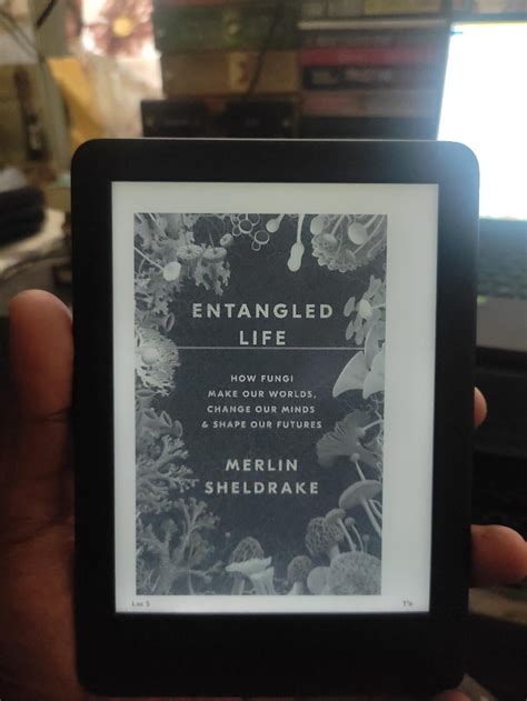 multiple horizontal lines r kindle