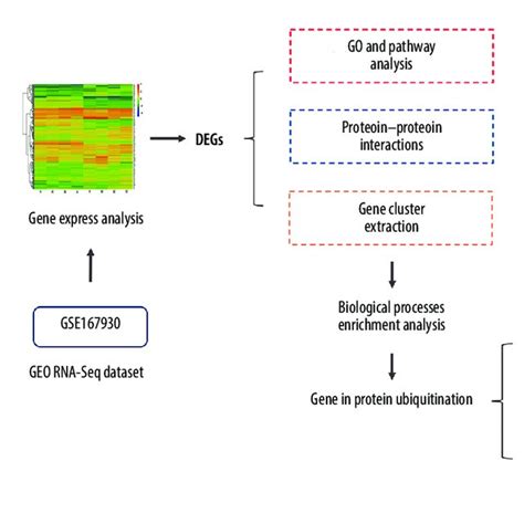 Diagrammatic Representation Of The Overall General Process Flow Of This