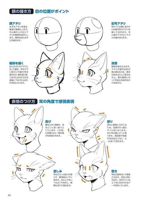 Pag 44 Cat Drawing Tutorial Cats Art Drawing Cat Drawing