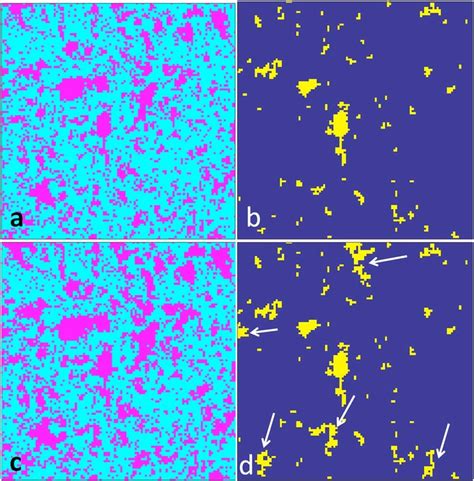 Two Successive Iterations Of The Models Dynamics Of A And C The Download Scientific Diagram