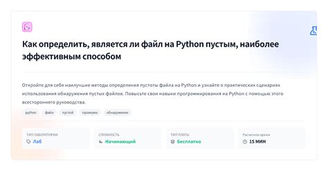 Как лучше всего проверить пуст ли файл Python или нет Labex