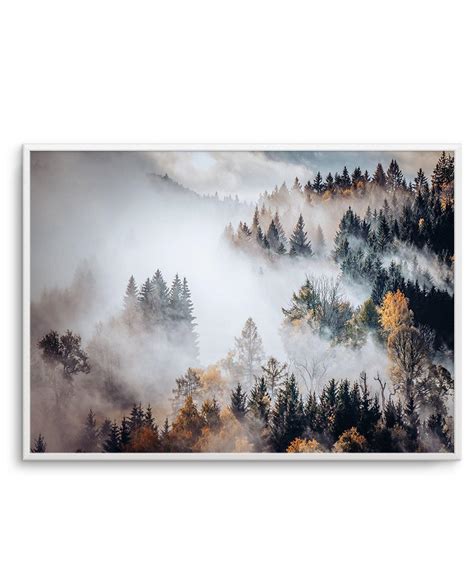 Shop Autumn Forest Mist Ls Art Print Or Poster Made In Australia