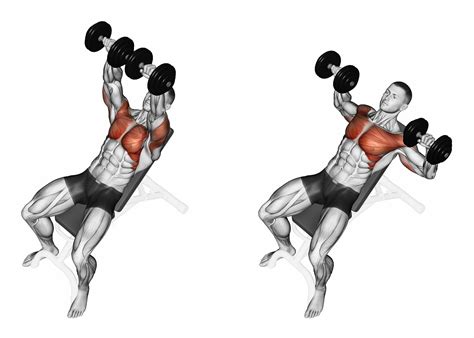 Incline Dumbbell Press Muscles Worked Chest Day Workout Dumbbell
