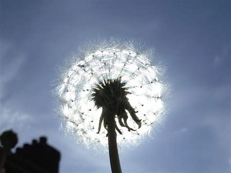 Visualizing Trends Of Multivariate Data In R Using Ggplot2 By Nastaran Emaminejad Tds