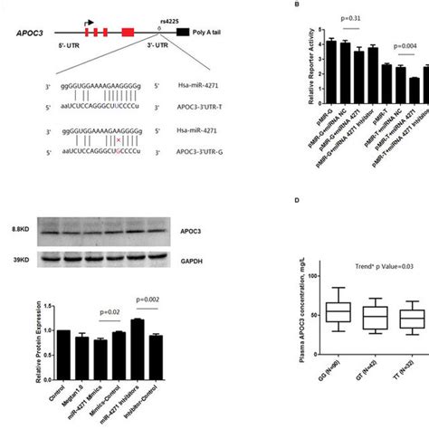 Structure Of ApoC III O Glycosylated Isoforms Sialylated ApoC III Download Scientific Diagram