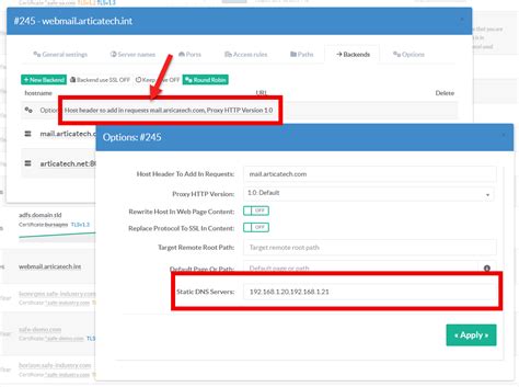Specific Dns Servers In Reverse Proxy Artica Wiki