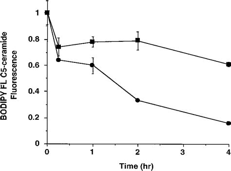 Bfa Inhibits Efflux Of Bodipy Fl C 5 Ceramide In Raw Lacrfmlpr2