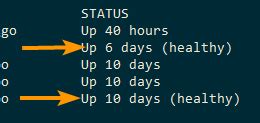 Add Healthcheck Support Issue 79 Linuxserver Docker Tautulli GitHub