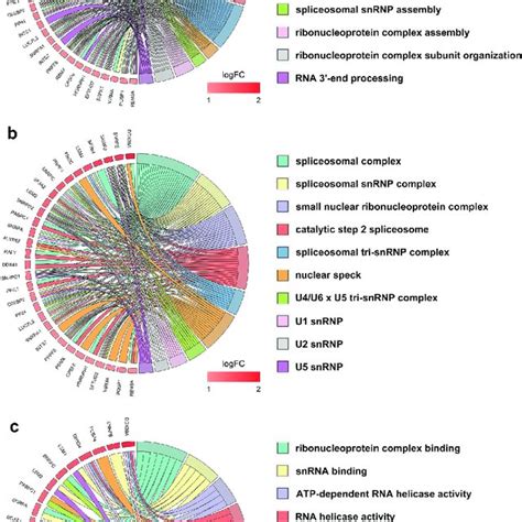 Interactions And Relationships Among Clinically Relevant Splicing