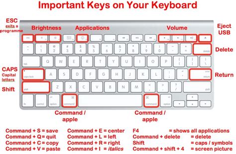 function keys on laptop yahoo image search results keyboard