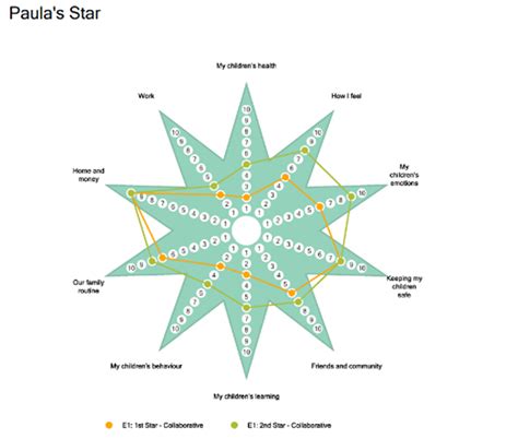 5 Tips For Using Star Data In Your Reports And Evaluations Outcomes Star™